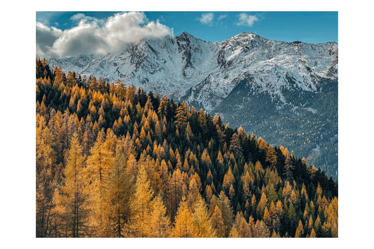 Once a Marathon Runner, Always a Marathon Runner – 365 days to Ironman